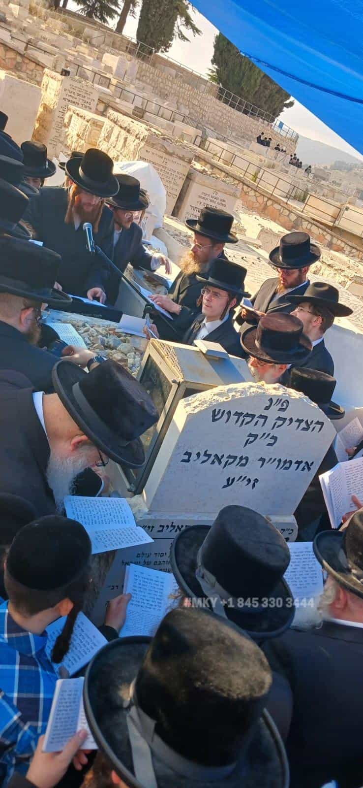 At the kever of the Kaliver Rebbe: holding on to the faith he taught ...